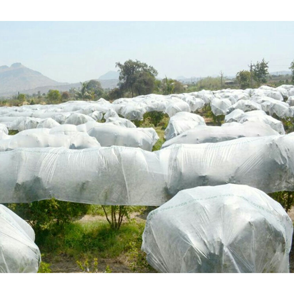 Oripol Industries Limited, Balasore